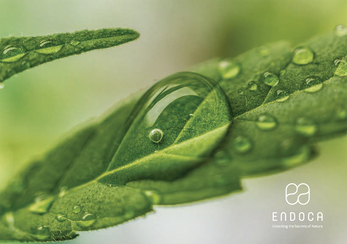 商品一覧 | Endoca Japan 卸売専用サイト